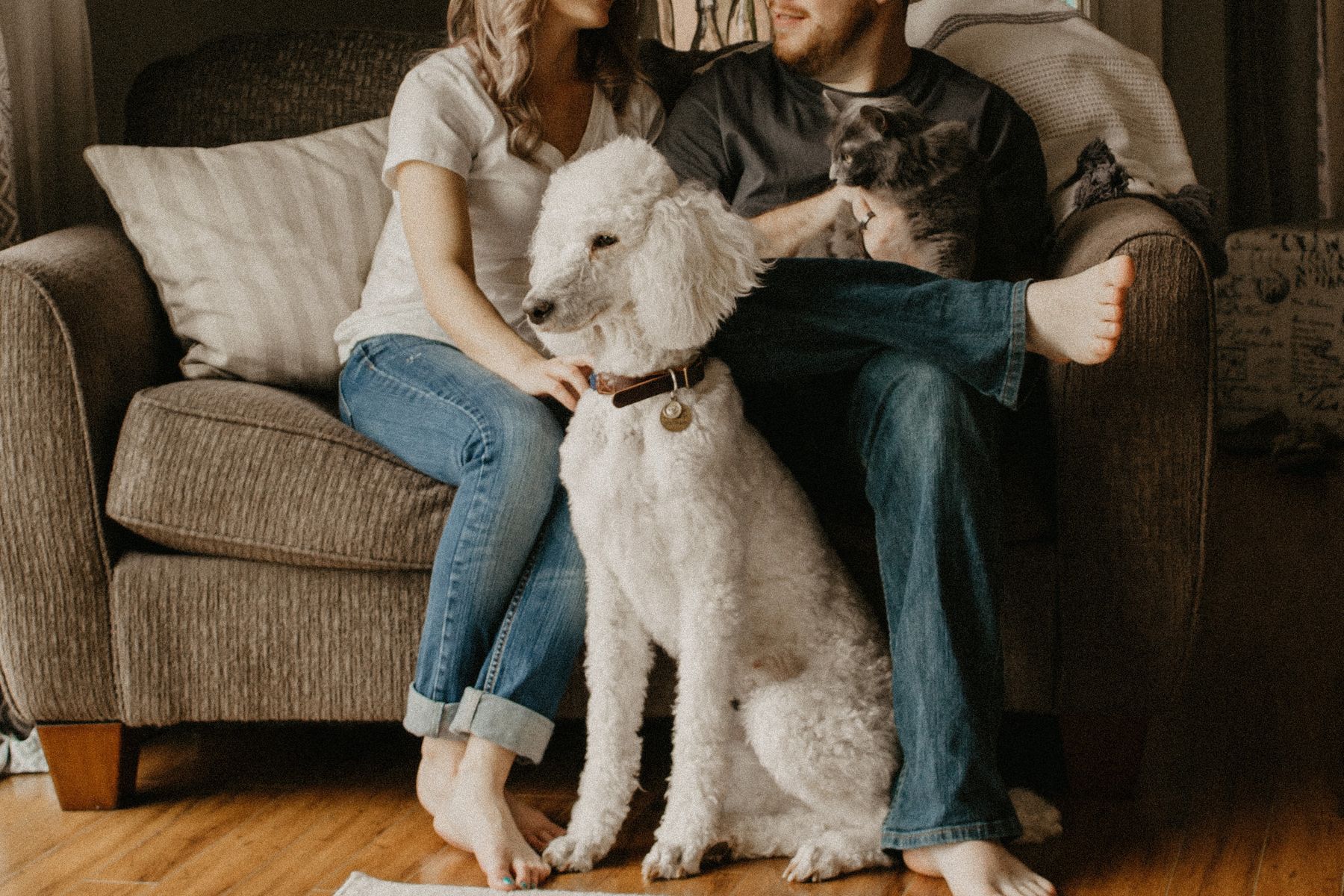 Can I Collect A Pet Bond In South Australia 